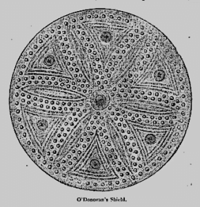 10 Incredible Medieval Shields That Would have Protected You In Battle!