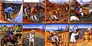 Medieval Serf | Medieval Chronicles