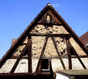 The Peasant's House in Medieval Times: Discovering Life Beyond the ...