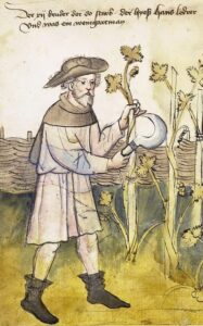 Medieval Jobs List - Discover all the Important Jobs During the Middle ...