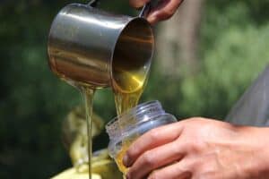Beekeeper: Medieval Jobs & Occupations