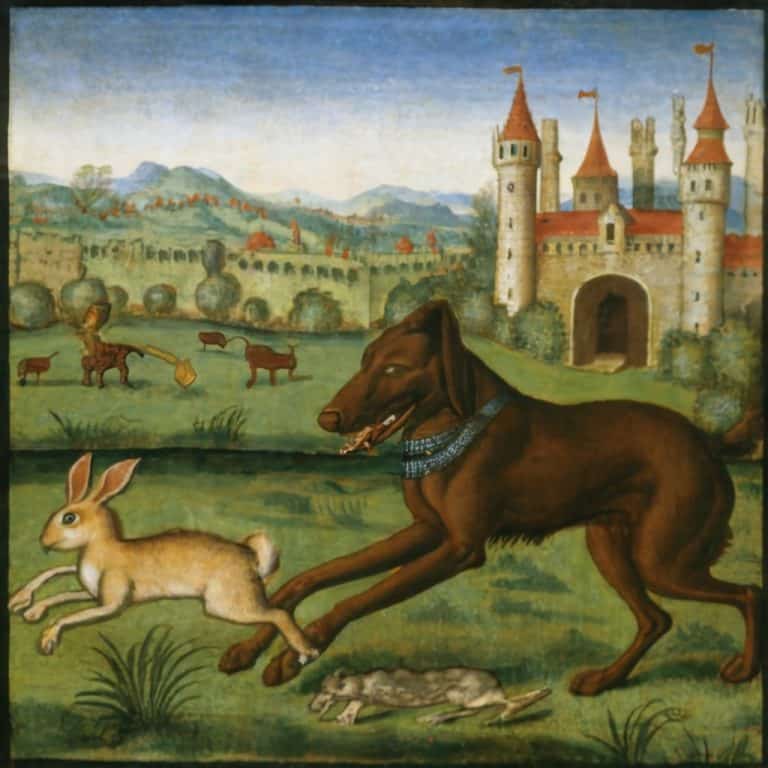Medieval Games: Sports, Pastimes & Entertainment In The Middle Ages